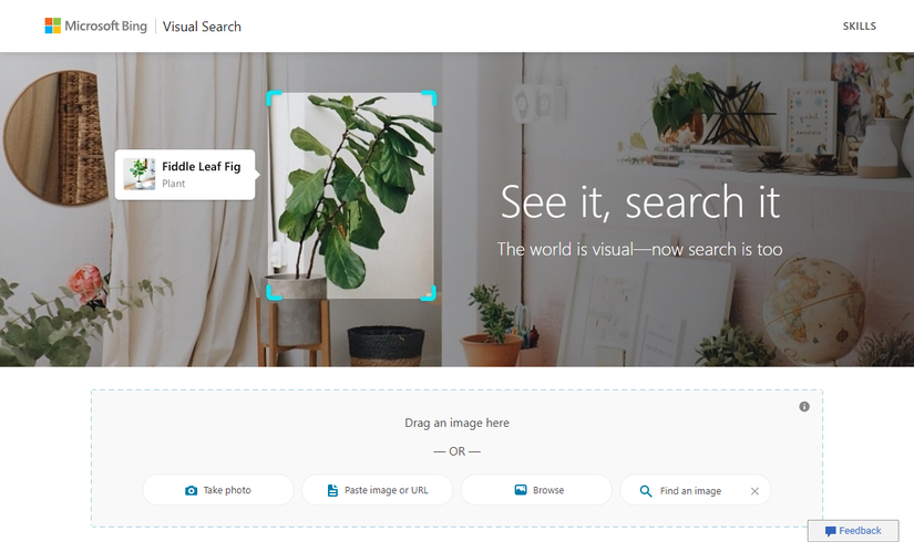 Try These 5 Alternatives to Google's Reverse Image Search