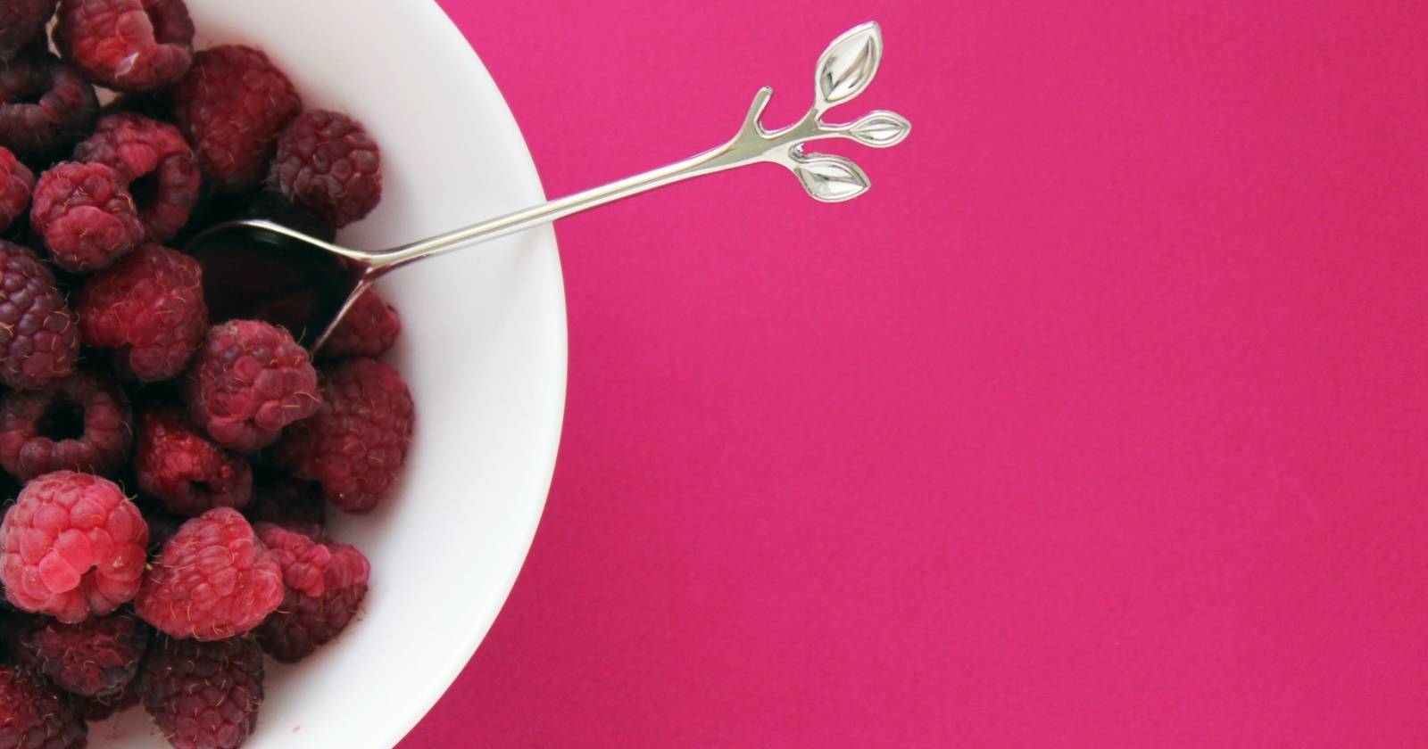 The 10 Best Raspberry Pi Apps, Programs, and Software to Install