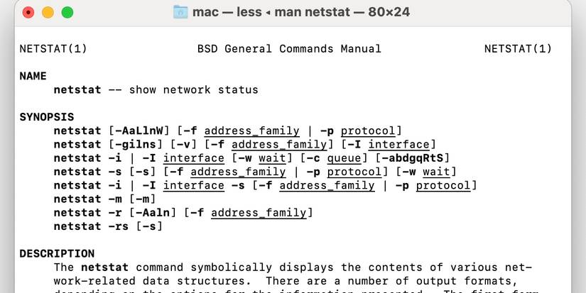 How to Use Terminal as a Network Utility Replacement