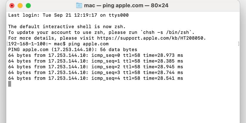 How to Use Terminal as a Network Utility Replacement