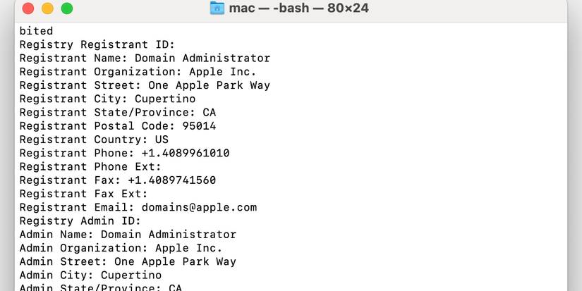 How to Use Terminal as a Network Utility Replacement