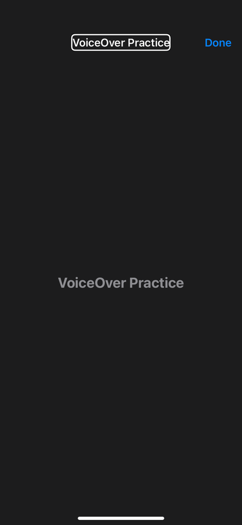 How to Master the VoiceOver Feature to Use Your iPhone Without Looking ...