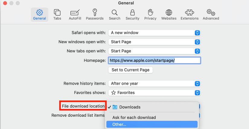 Where to Find Downloaded Files in Safari on a Mac and How to Manage Them