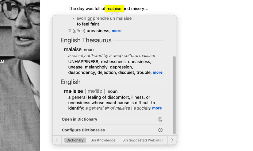 How to Add Additional Languages to the Mac Dictionary App