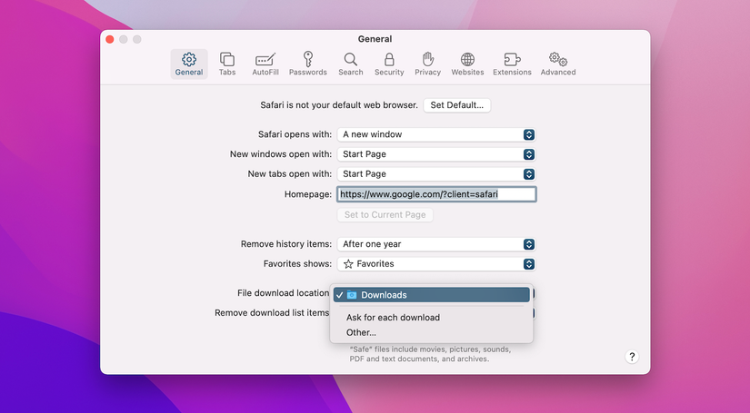 Safari Downloads Not Working? 10 Troubleshooting Tips and Fixes to Try