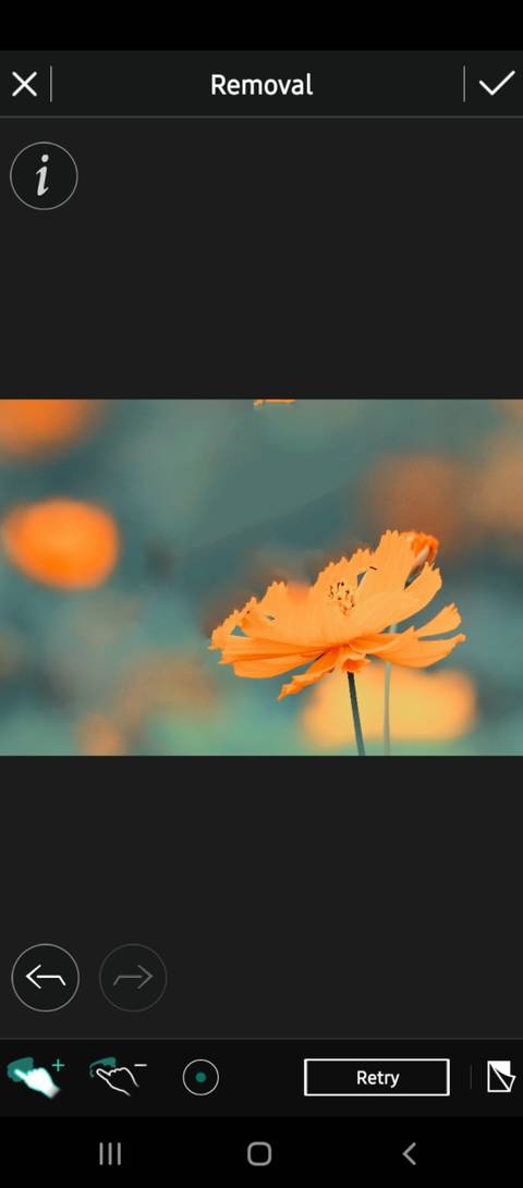 How to Use the PhotoDirector Mobile App to Enhance Your Images: 7 Ways