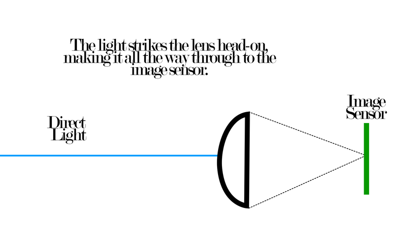 What Is Lens Flare in Photography? How and Why It Happens