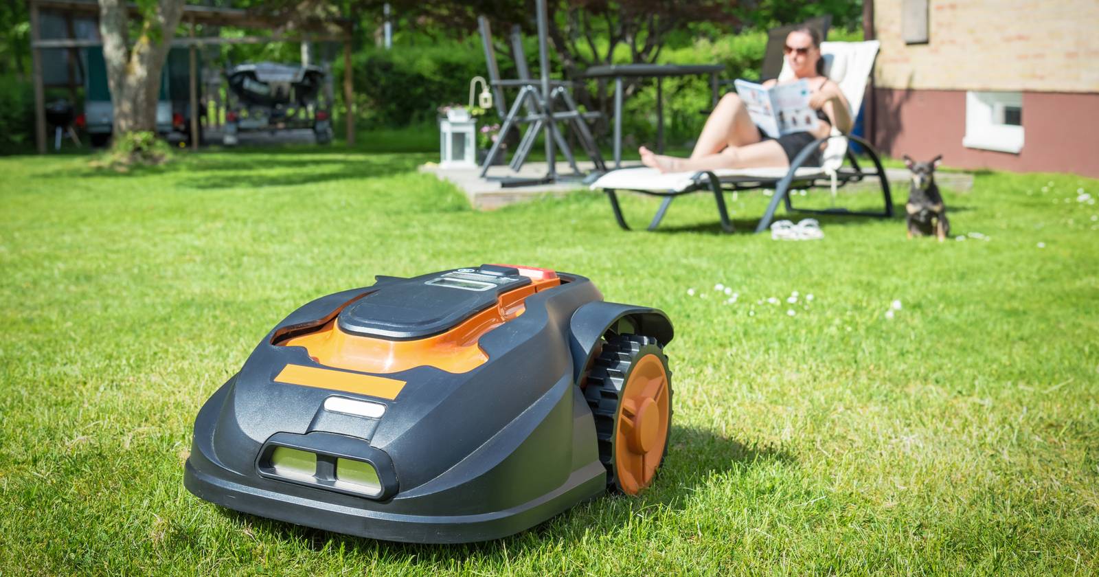 What Are Smart Garden Devices and How Can They Help?