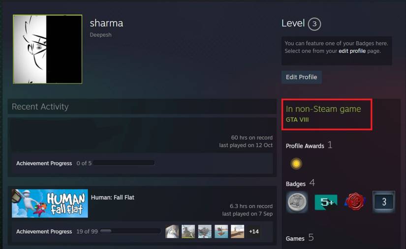 How to Customize the In-Game Activity Status on Steam