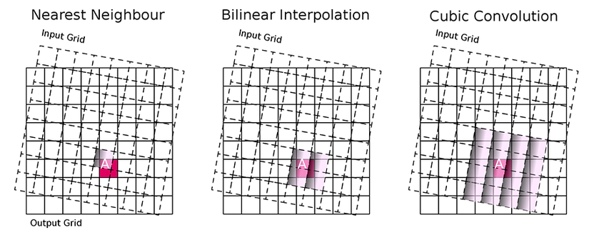 Image Resizing vs. Resampling: What's the Difference?
