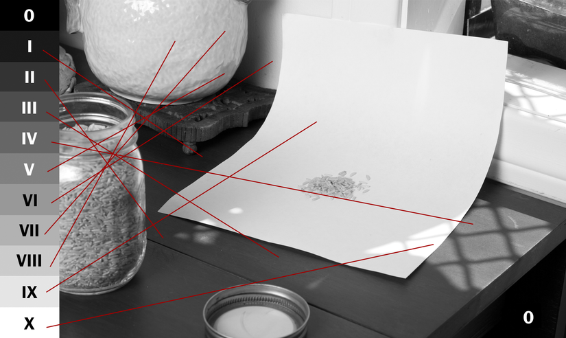 What Is the Zone System? Photography Meets Science