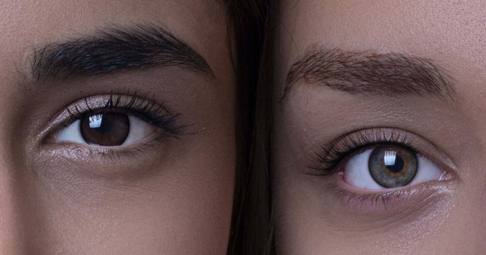 What Is Catchlight Photography? How to Capture Eye Light
