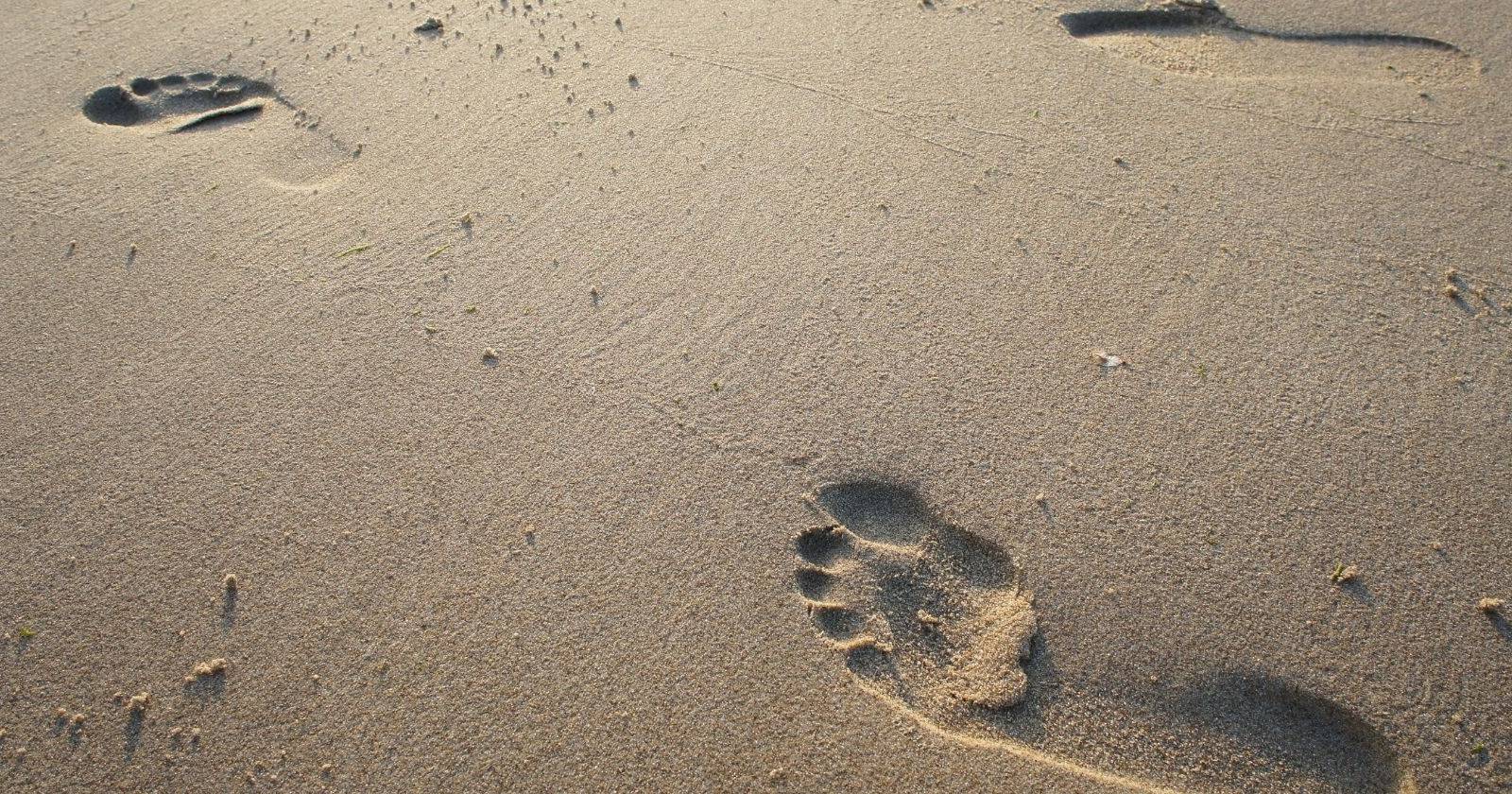 2 Types of Digital Footprints and How to Cover Your Tracks
