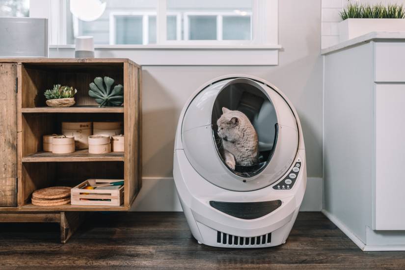 Become a Smarter Pet Owner With These Gadgets
