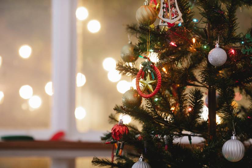 How to Create Bokeh Effects With Your Camera: 5 Tips