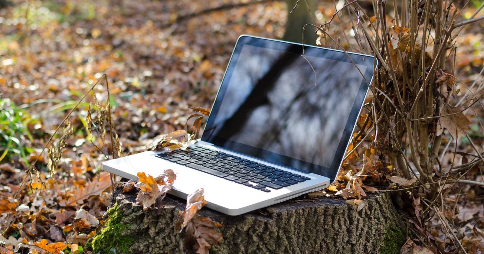 10 Ways to Open the Remote Desktop Connection Tool in Windows 11
