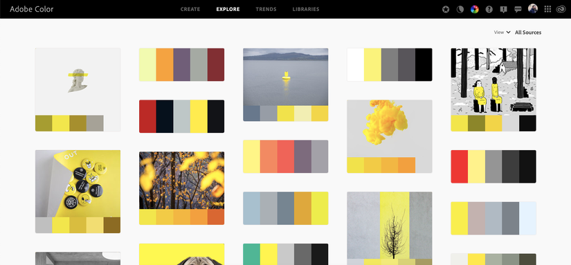 What Is Adobe Color? Why Every Visual Artist Should Use It