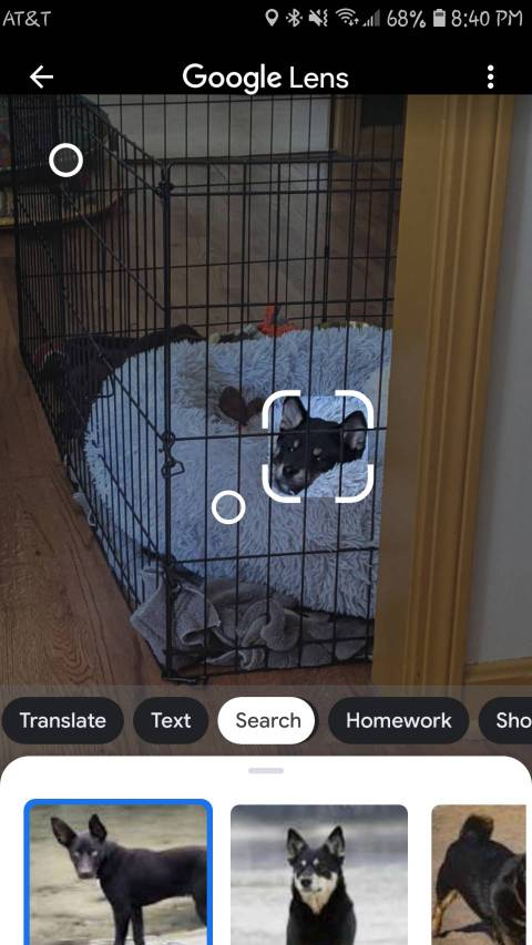 The 10 Best Reverse Image Search Apps for iPhone and Android