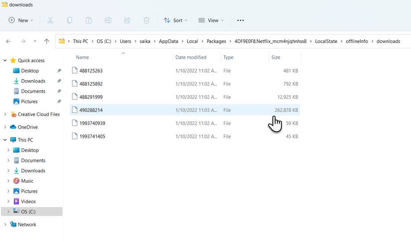 Where to Find the Netflix Download Folder on Windows 10 and Windows 11
