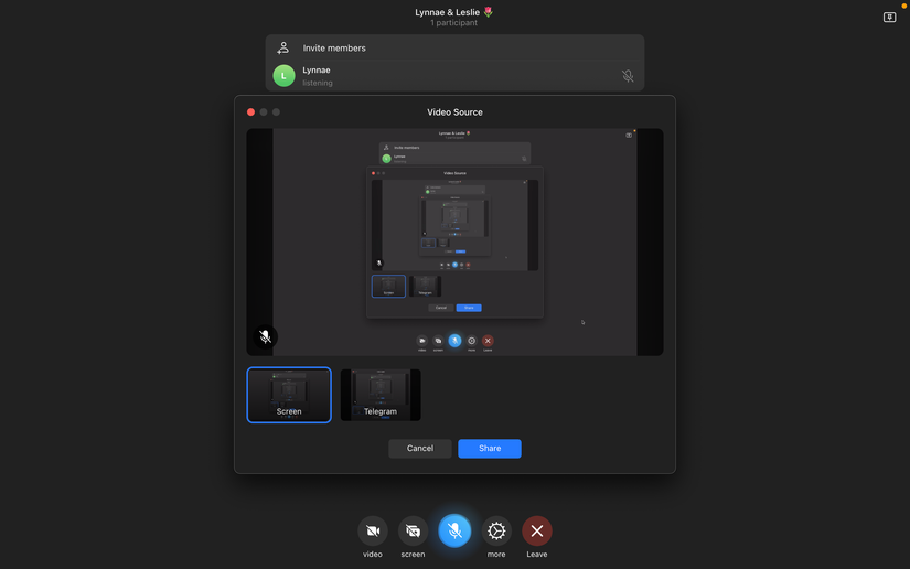 4 Features to Make the Most of Telegram Video Calls