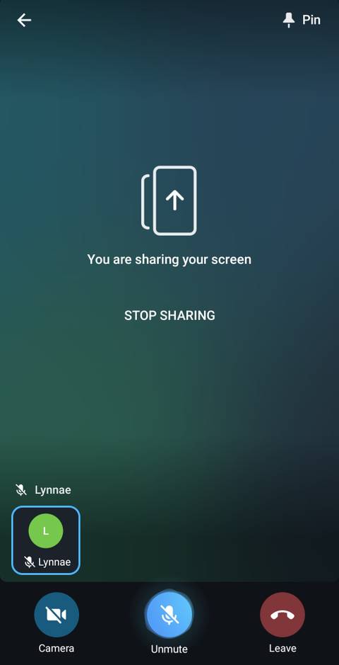 4 Features to Make the Most of Telegram Video Calls