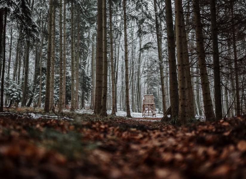 13 Rules of Composition for New Photographers