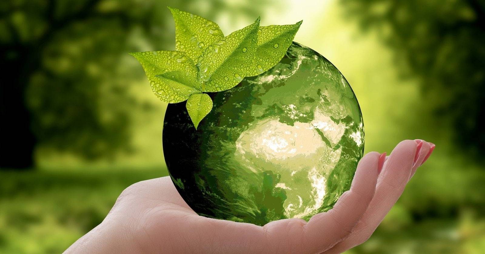 The 7 Best YouTube Channels to Learn About Sustainability