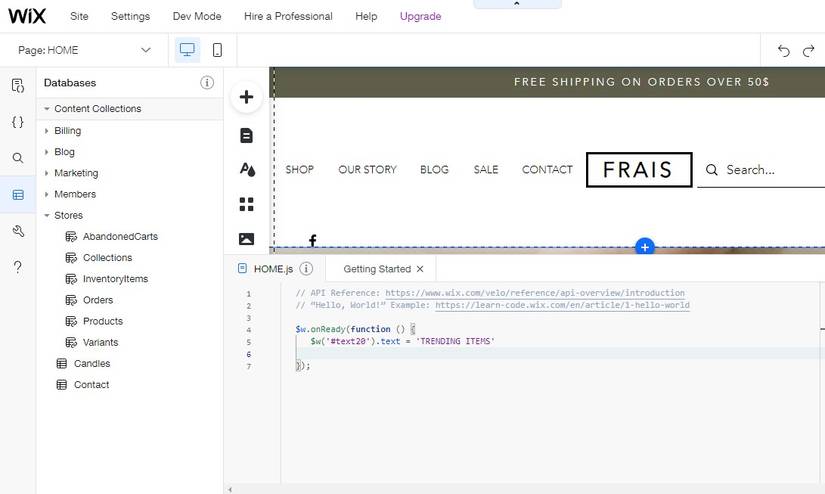 A Beginner's Guide to Using Velo by Wix