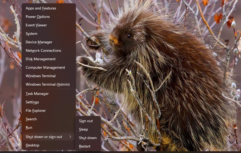 8 Ways to Access the Advanced Startup Options Menu in Windows 11