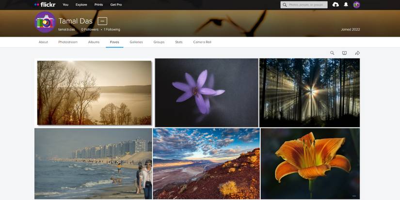 What Is Flickr? A Beginner's Guide to the Photo-Sharing Platform