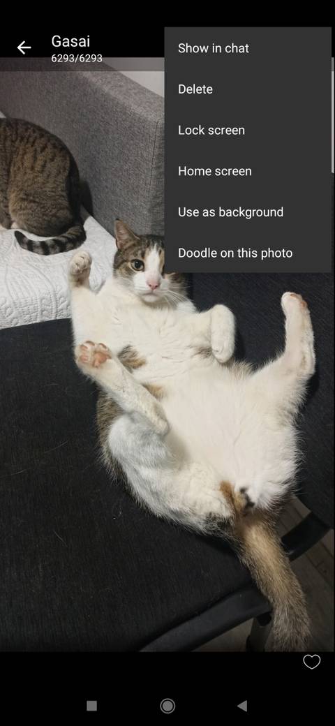 8 Useful Viber Features Everyone Should Know