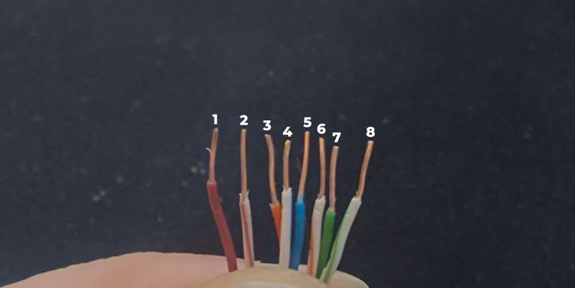 Wire a Cat6 Cable With This Wiring Diagram