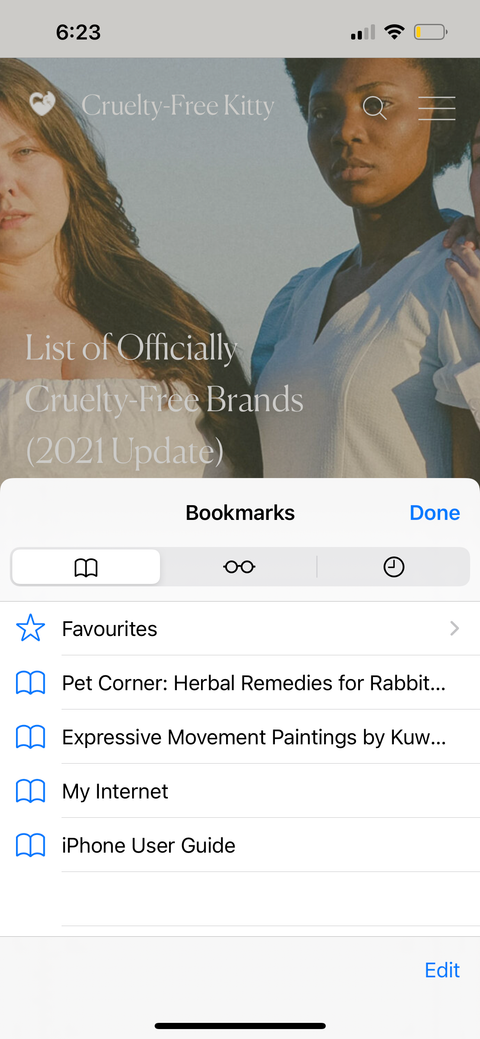 Safari: A Beginner’s Guide for iPhone or iPad Users