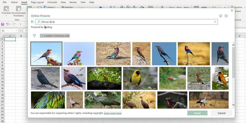 How to Insert Images Into an Excel Spreadsheet