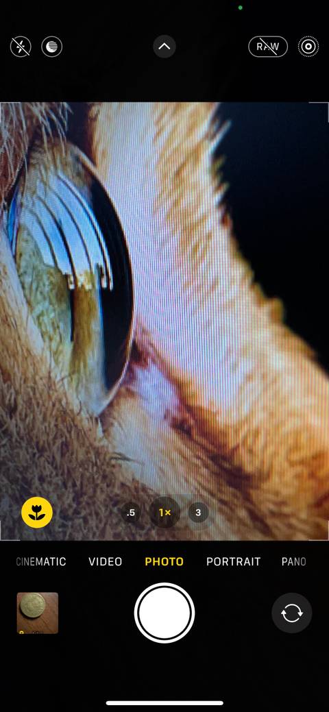 How to Take Macro Photos on the iPhone 13 Pro and iPhone 14 Pro Series