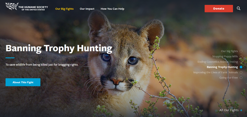 The 10 Best Animal Welfare Websites to Find Helpful Resources
