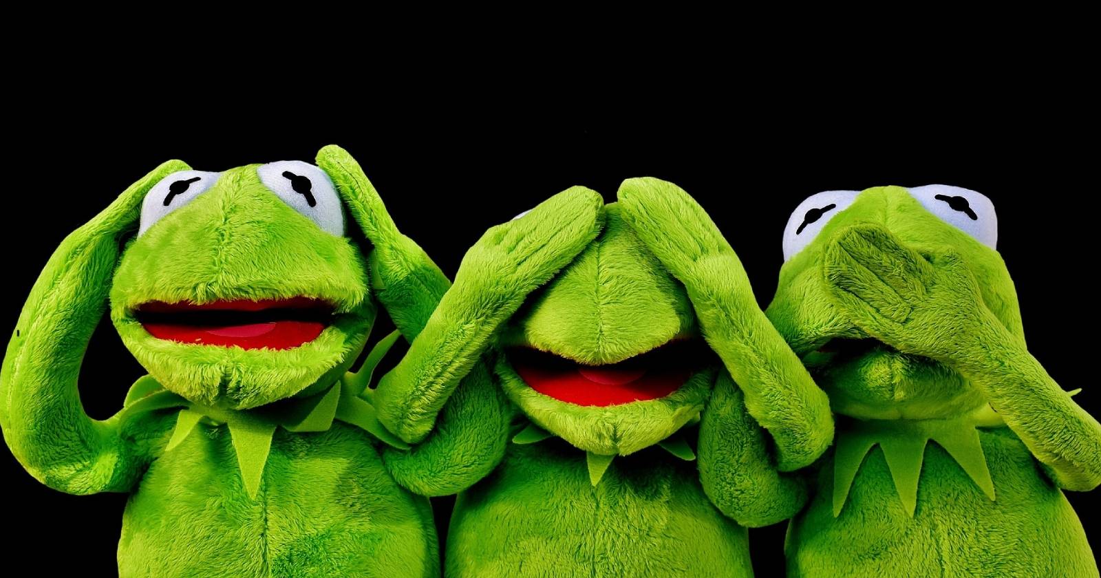 Why Are Memes So Popular? 7 Reasons We Love Them So Much