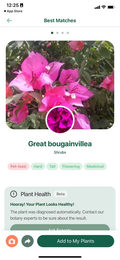 The 6 Best Plant Identifier Apps for Android and iPhone