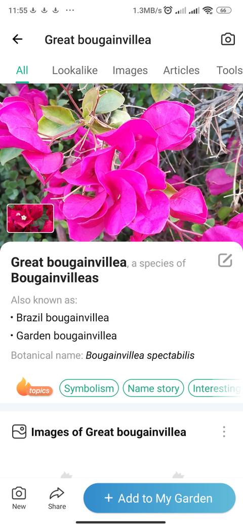 The 6 Best Plant Identifier Apps for Android and iPhone