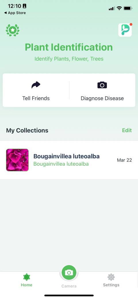 The 6 Best Plant Identifier Apps for Android and iPhone