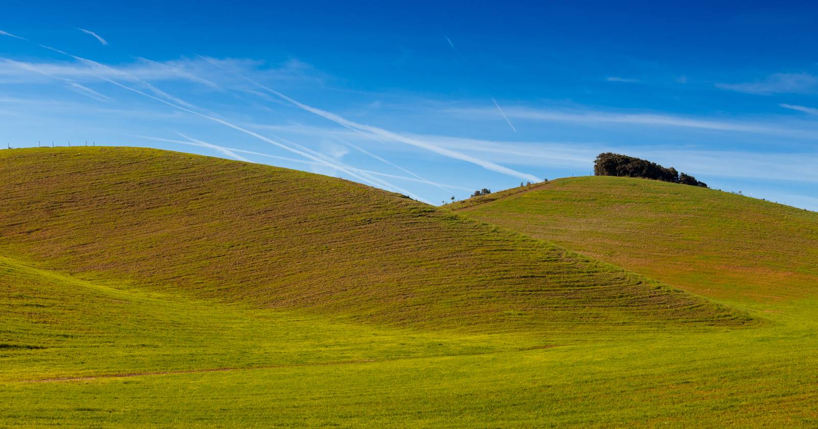 Looking Back at Windows XP: Highlights, Improvements, and More