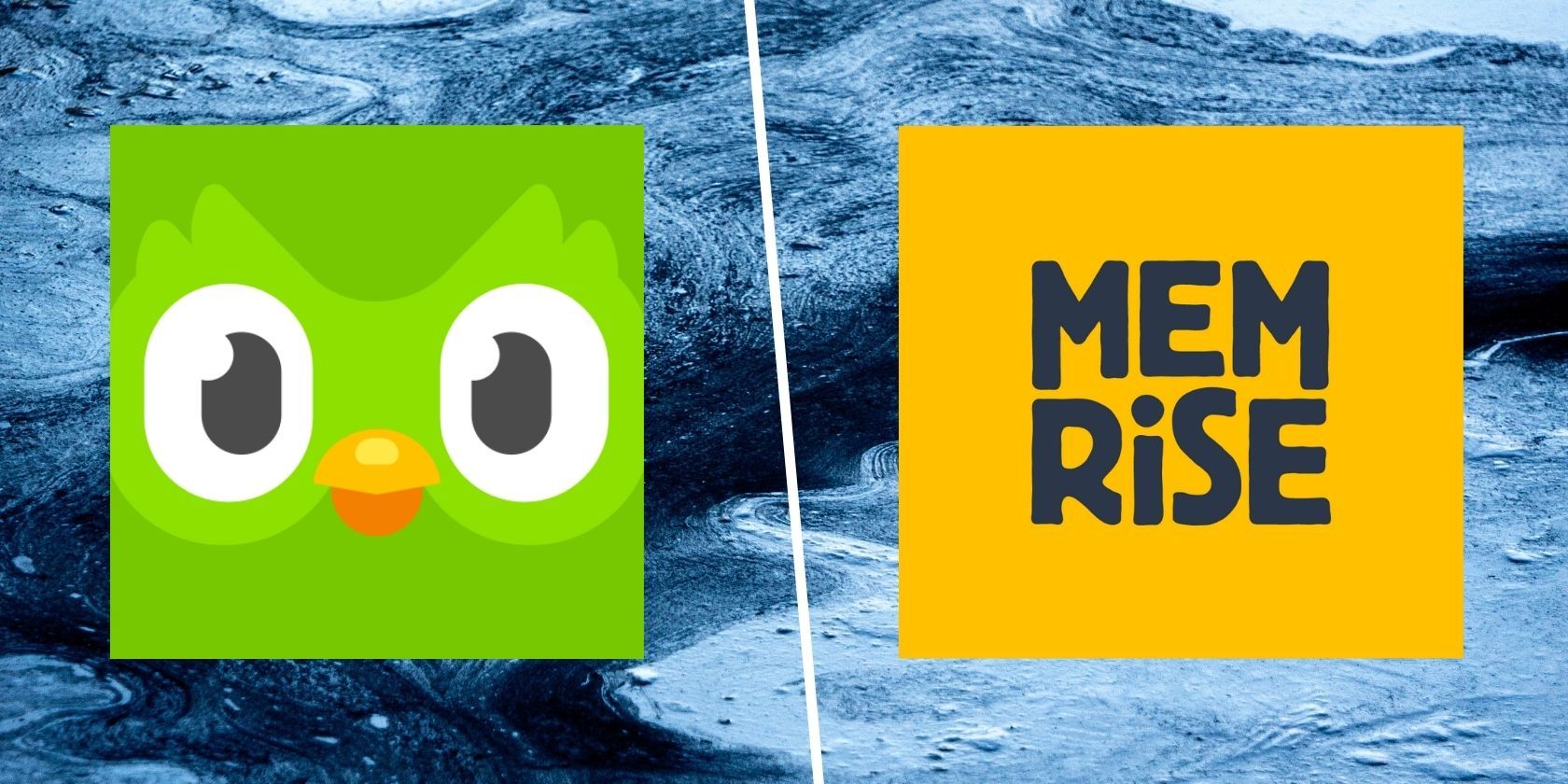 Duolingo vs. Memrise: Which Language Learning App Is Better?