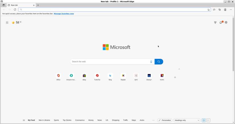 The Top 6 Graphical Linux Browsers to Install With WSLg