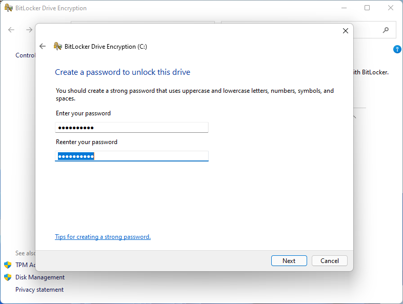 How to Encrypt Your Windows 11 Hard Drive