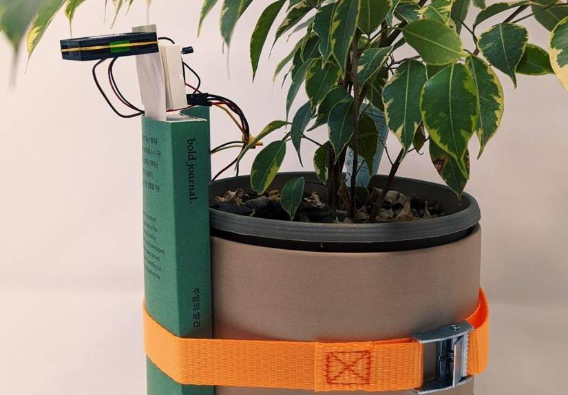 Google's Arduino-Powered Little Signals Offer Stress-Free Notifications