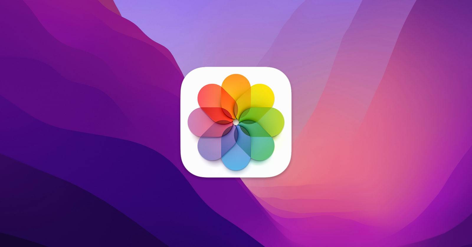 How to Create and Manage Multiple Photo Libraries on Your Mac