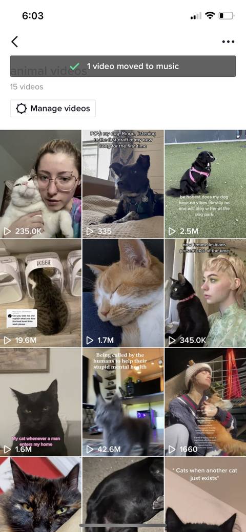 How to Create and Manage TikTok Collections
