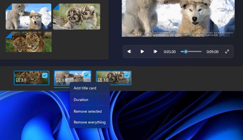 7 Ways to Set Up Image Slideshows in Windows 11 Without Installing ...