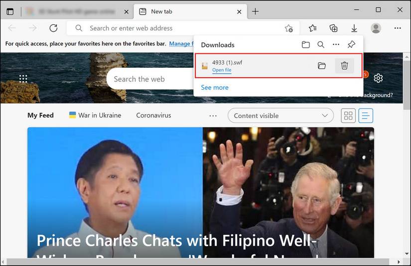 How to Download Flash Videos and Content on Websites