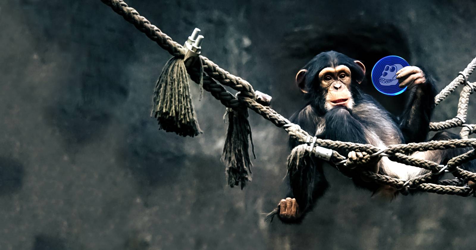 What Is ApeCoin (APE) and How Does It Work?